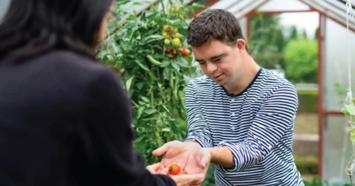 Article :RTF : Normes de Secourisme et Formation RCR Obligatoire